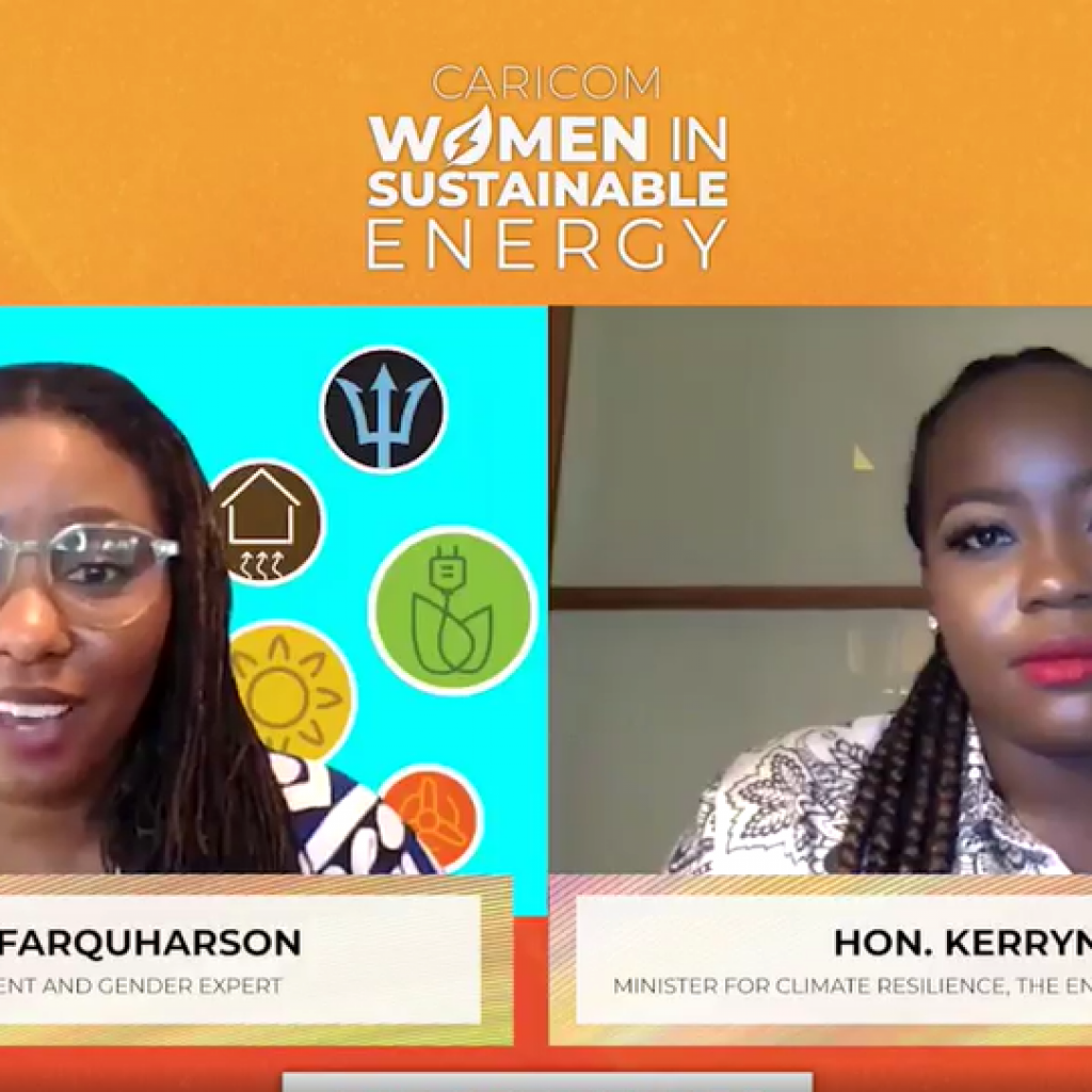 The Transition: Special CARICOM W.I.S.E with Hon. Kerryne James ...